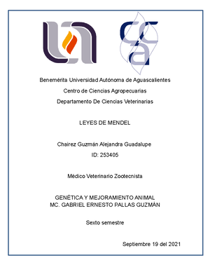 Mutaciones y ejemplos - Repaso sobre los tipos de mutación genética ...