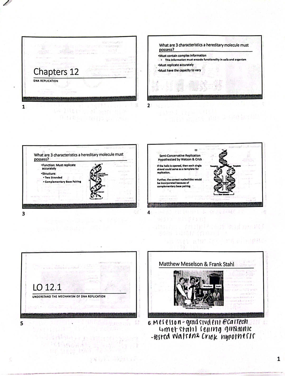 BIO140 Chapter 12 Lecture Handouts - BIO 140 - Studocu