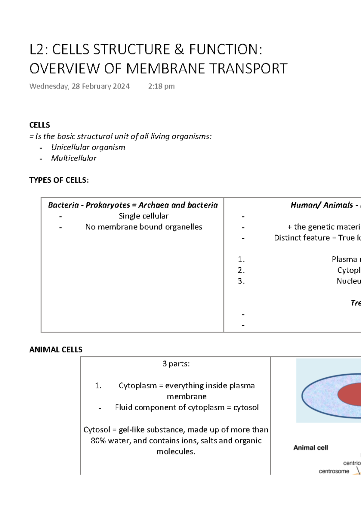 L2 Cells Structure & Function Overview OF Membrane Transport - CELLS ...