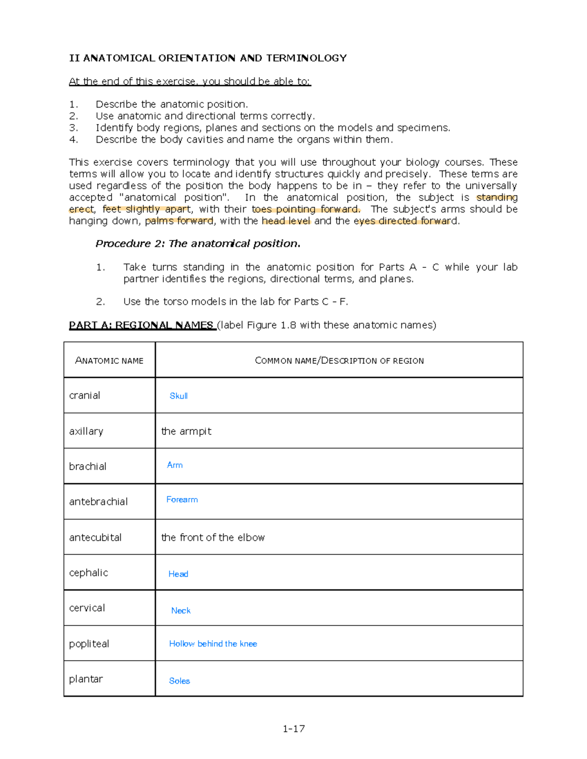LAB 1 - Microscopes Terminology AND CELL Structure 2 - II ANATOMICAL ...