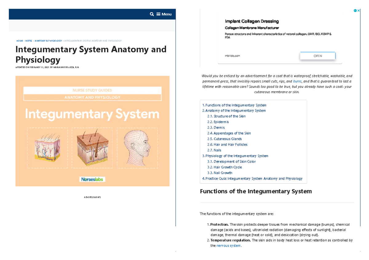 Integumentary System Anatomy and Physiology - Nurseslabs - HOME » NOTES ...