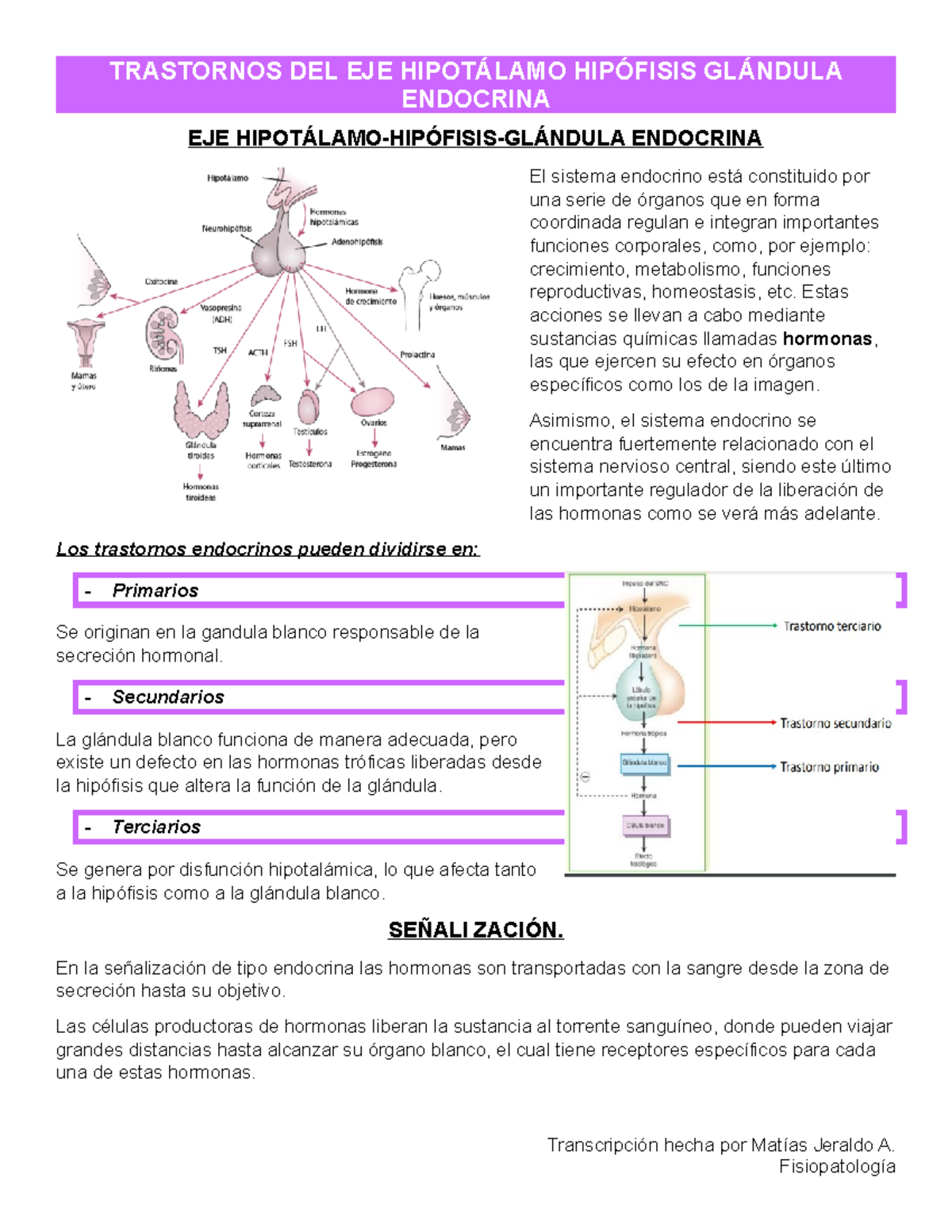Clase 4 Trastornos del eje hipotálamo hipófisis glándula endocrina ...
