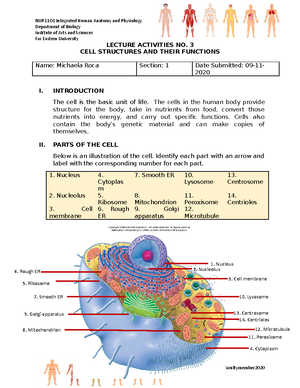 LAB Exercise 5 Tissues - LABORATORY EXERCISE NO. 5 INTEGUMENTARY SYSTEM ...