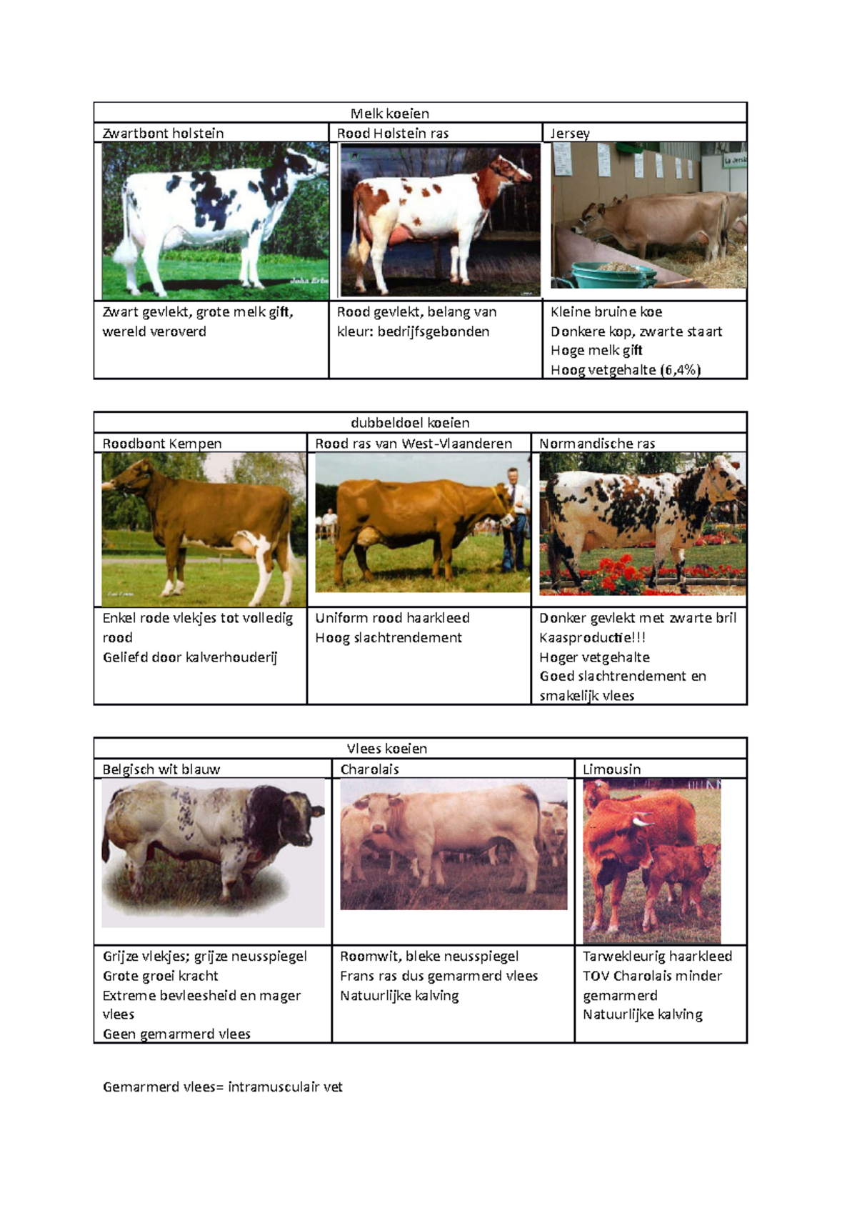 Koe soorten - Melk koeien Zwartbont holstein Rood Holstein ras Jersey ...