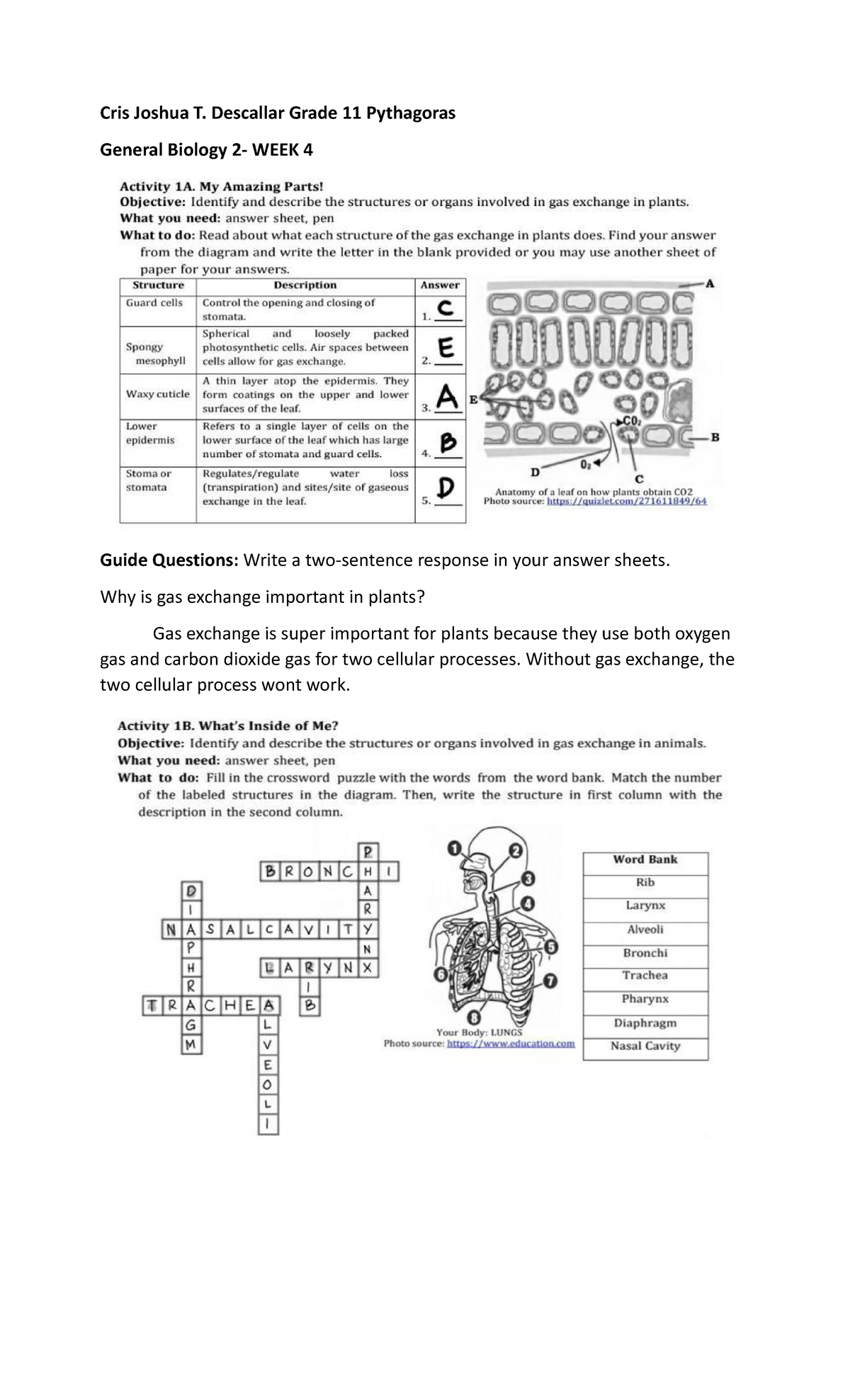 Descallar-Bio. 2- Week 4 - Cris Joshua T. Descallar Grade 11 Pythagoras ...