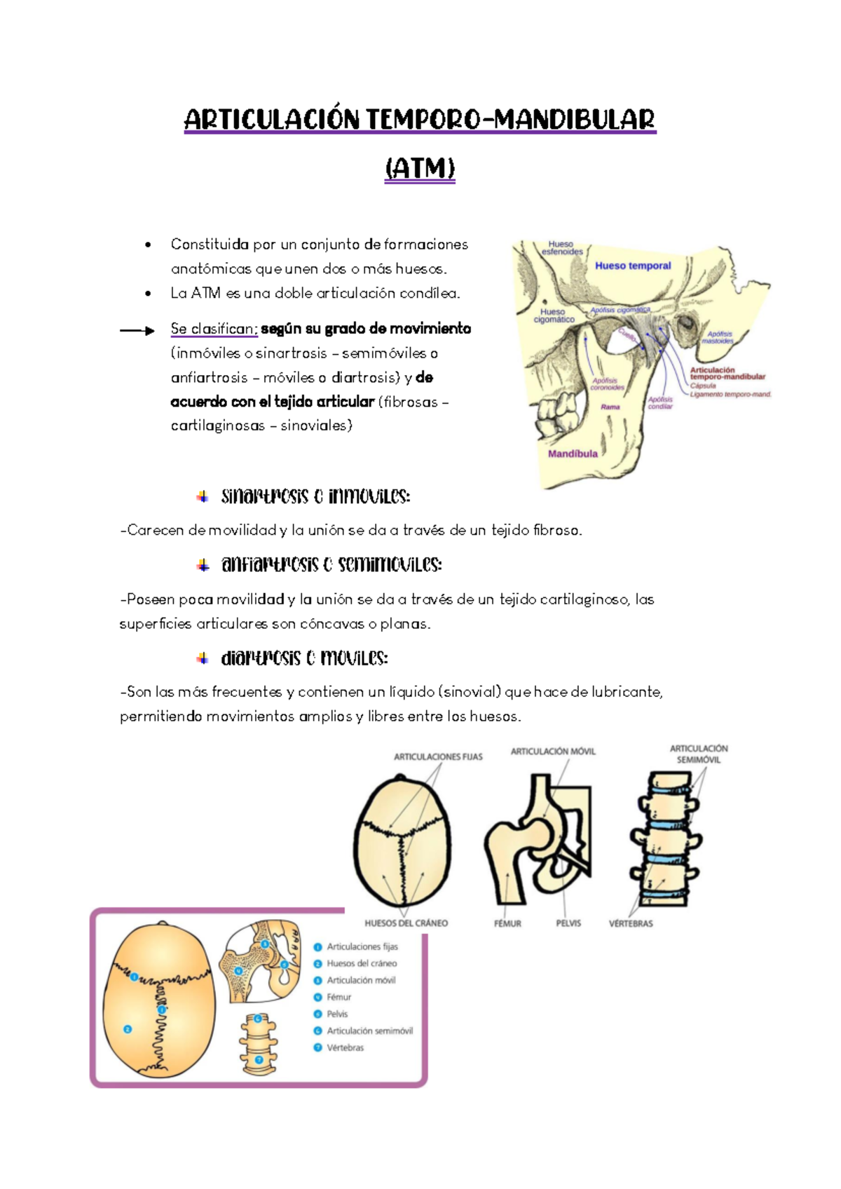 Atm - atm - ARTICULACIÓN TEMPORO-MANDIBULAR (ATM) Constituida por un ...