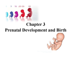 Biological Beginning - fff - Human Growth and Development Conception ...