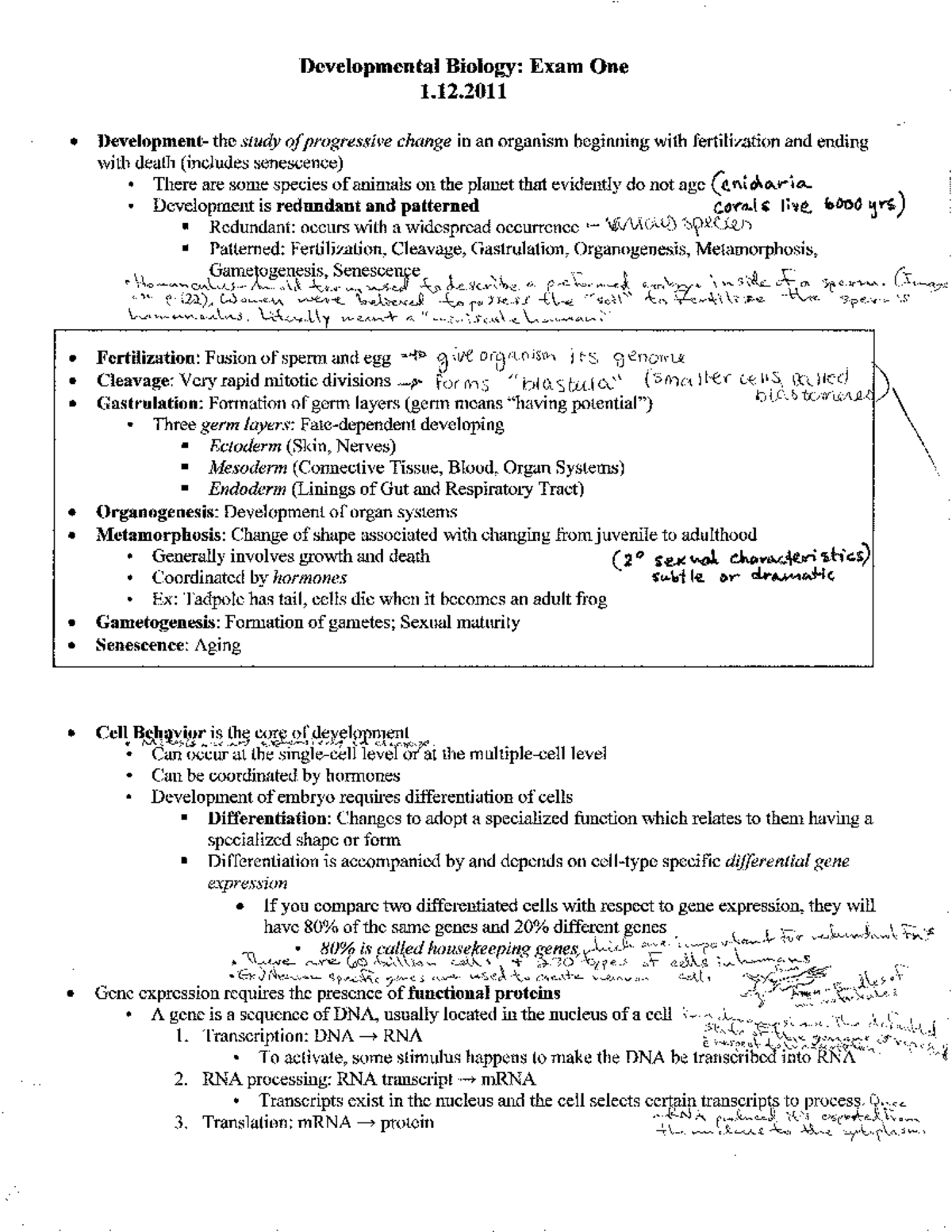 Developmental Biol Notes - Developmental Biology: Exam One 1 . 12 1 0 ...