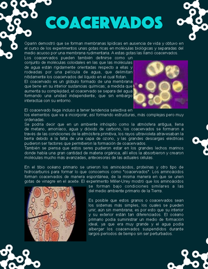 Sopa de letras proteínas - PROTEÍNAS Docente: Dra. Fátima de Lourdes ...