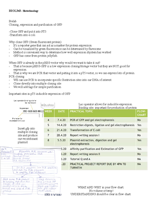 Quiz 1 bb - notes - The preganglionic neurons of the sympathetic ...
