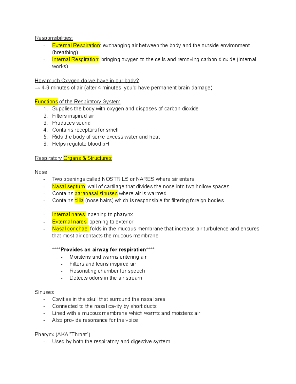 Health Services: Respiratory System - Responsibilities: External ...