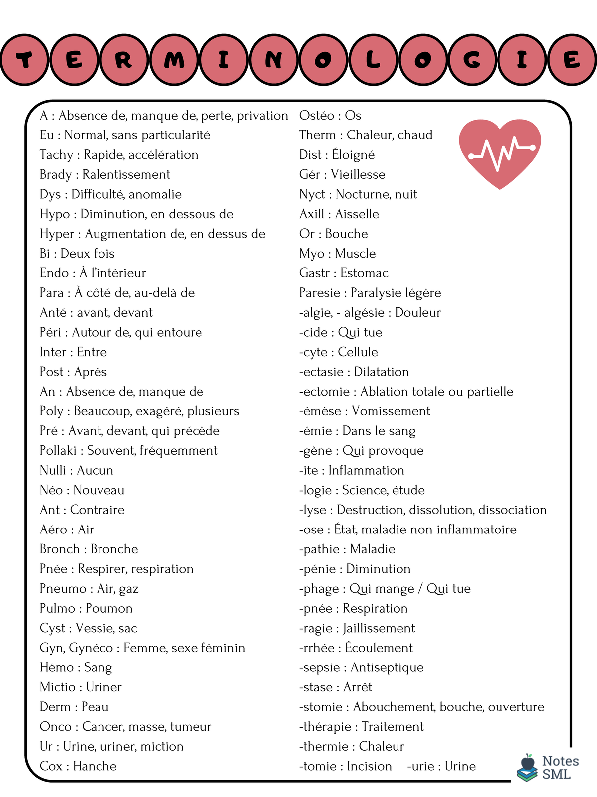 Terminologie - T E R M I N O L O G I E Ostéo : Os Therm : Chaleur ...