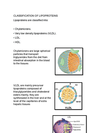 Macrognatia - crecimiento anormal de la mandicbula - Antes de estudiar ...
