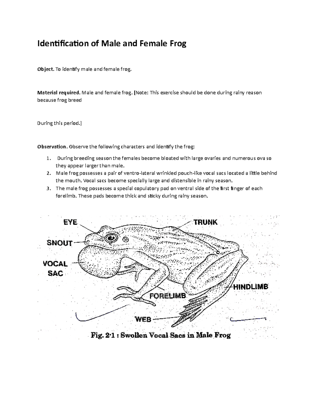 Identification Of Male And Female Frog Identification Of Male And Female Frog Object To