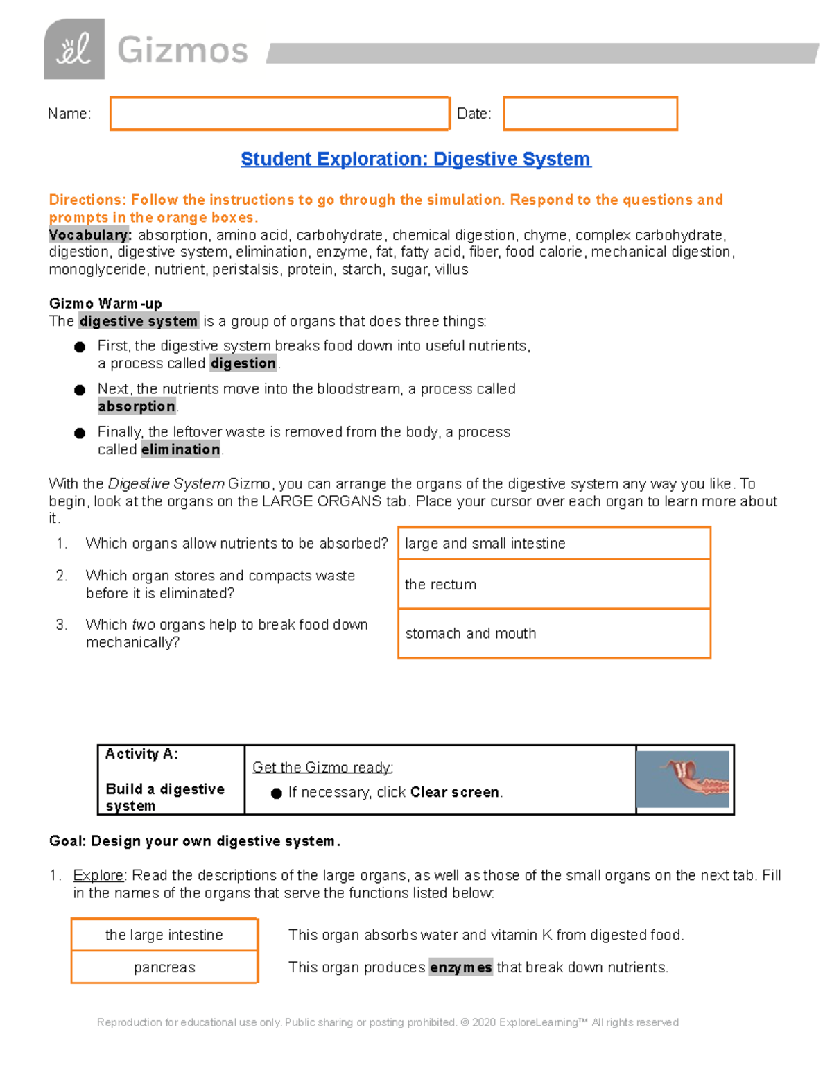 Gizmo Digestive System Name Date Student Exploration Digestive