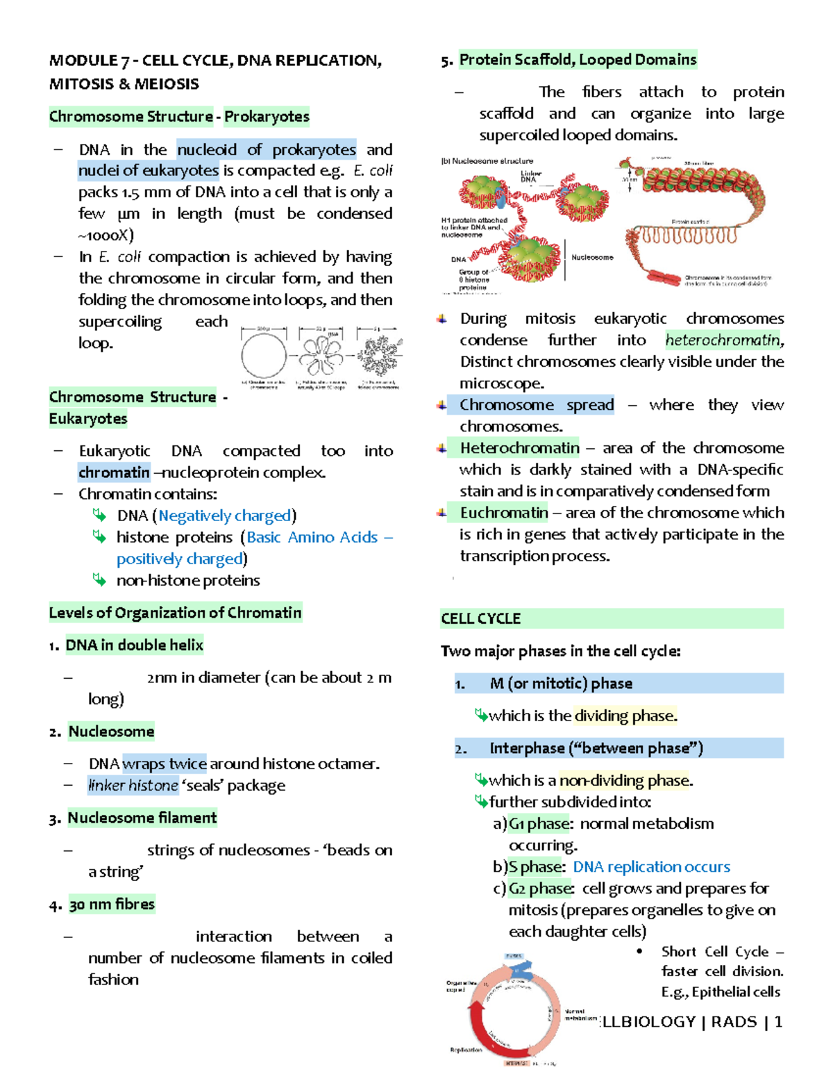 Cell Cycle DNA Replication Meiosis Mitosis - MODULE 7 - CELL CYCLE, DNA ...