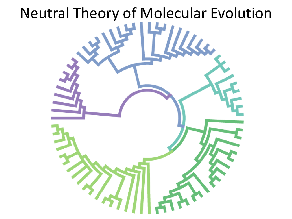 Lecture slides - Lecture 7 - Neutral Theory of Molecular Evolution ...