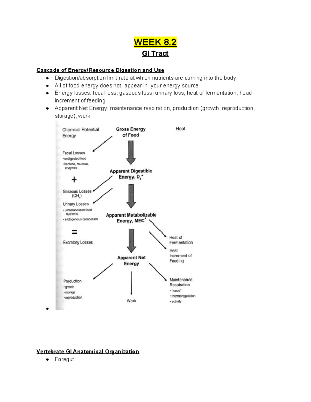 BIO 224 Extra Content Beyond Exam 1 and 2 - WEEK 8. GI Tract Cascade of ...