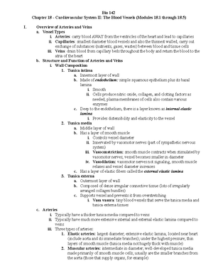 Bio142Chapter 16outline - Bio 142: Human Anatomy and Physiology II ...