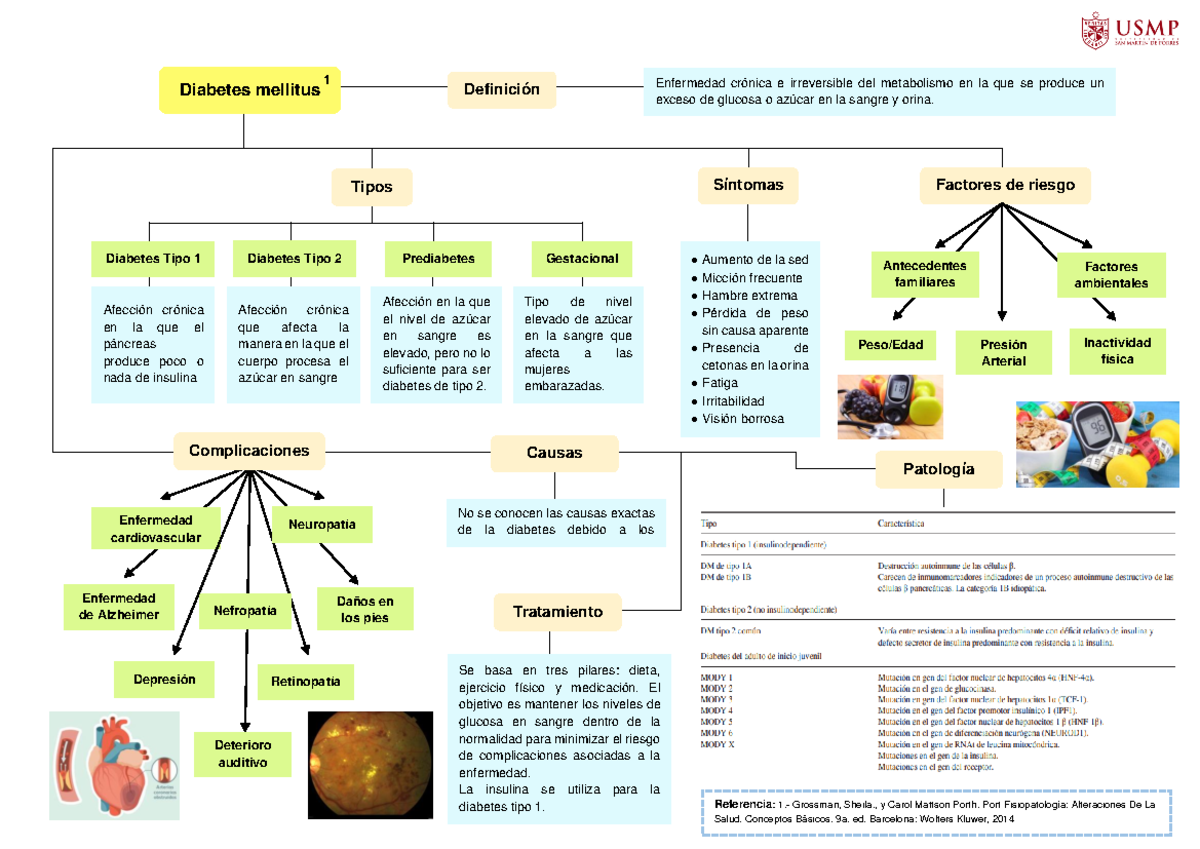 Diabetes mellitus mapa - Diabetes mellitus Definición Tipos Enfermedad ...