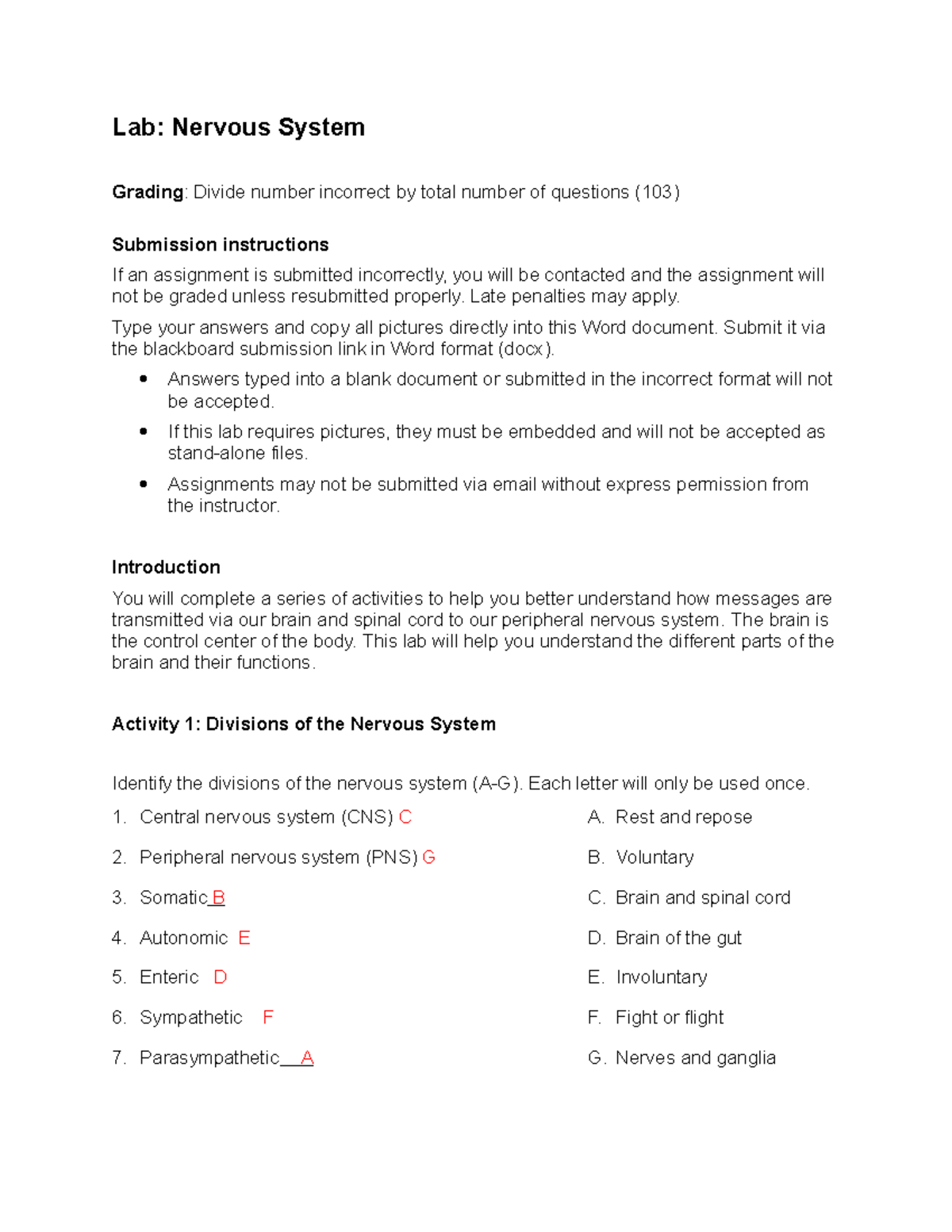 Lab Nervous - N/A - Lab: Nervous System Grading: Divide number ...