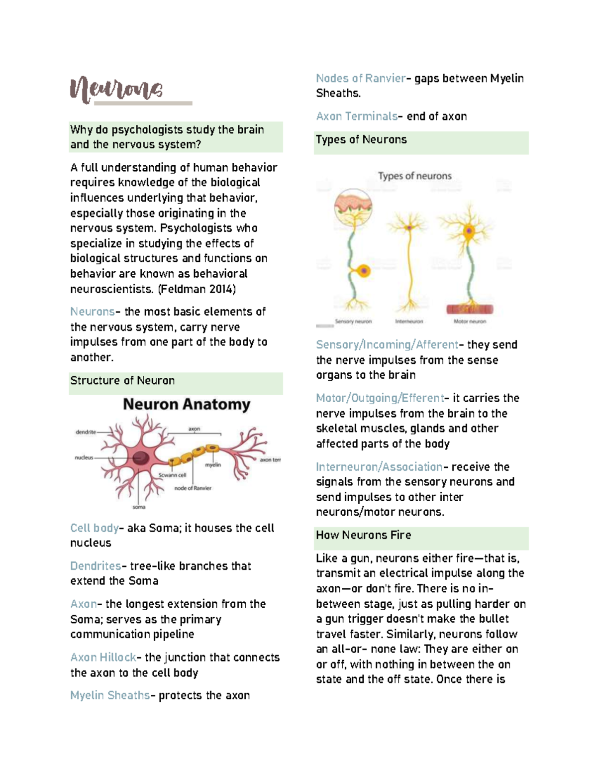 Neurons-emotions - my notes - Neurons Why do psychologists study the ...