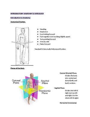 Basic Anatomical Terminology - 1 the standard anatomical position The ...