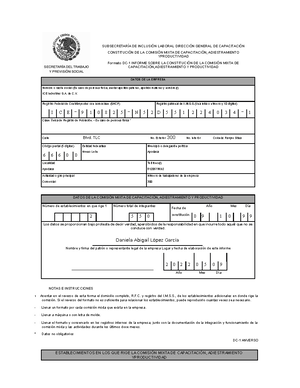 Responsabilidades ante la STPS, formatos DC1, DC2, DC3, DC4 ...