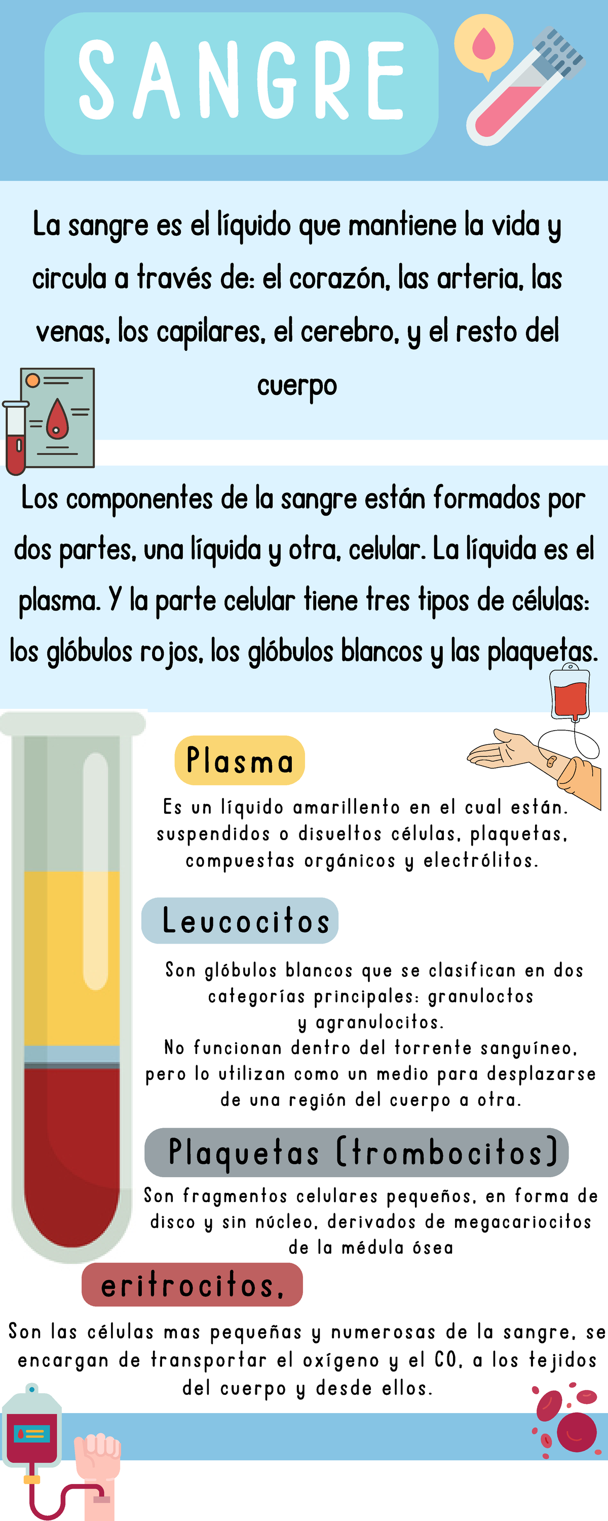 Infografia sangre - S A N G R E Los componentes de la sangre están ...