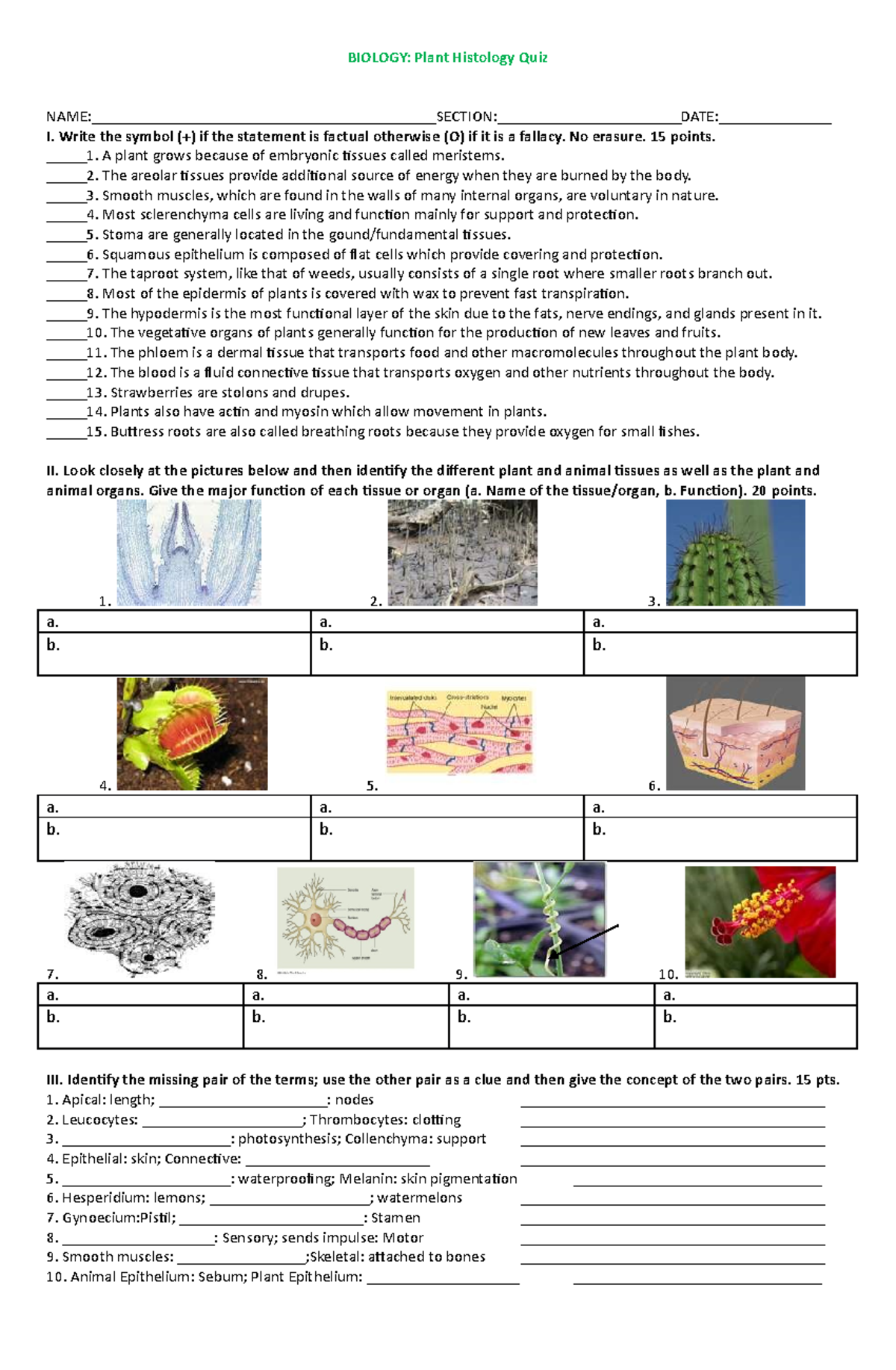 Plant Histology - Practice worksheets and study materials - BIOLOGY ...