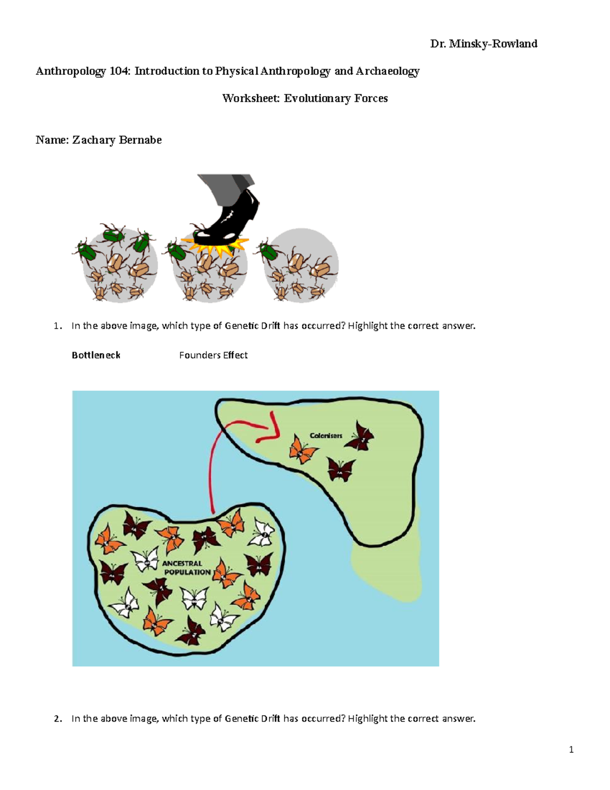 Zachary Bernabe Anth104 Evolutionary Forces Worksheet - Dr. Minsky ...
