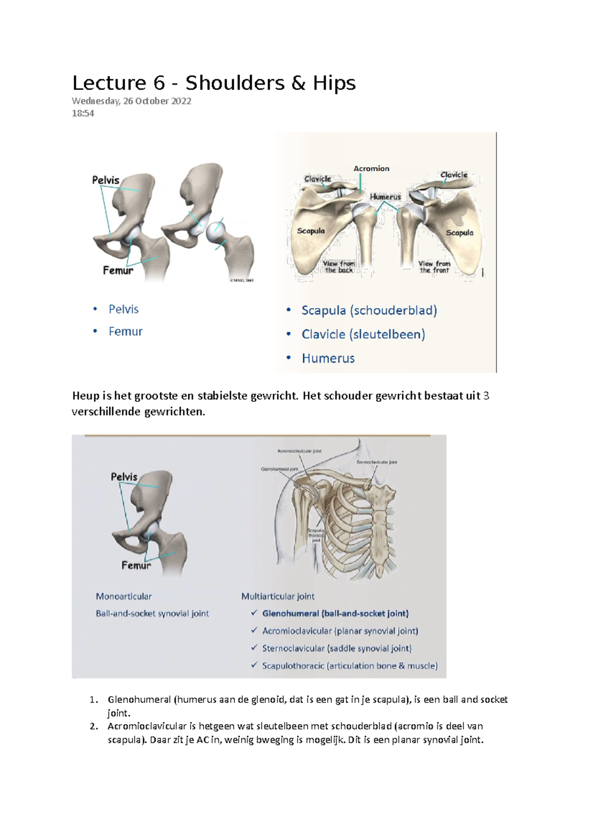 Structure and function of joints - Hip and Shoulders - Lecture 6 ...