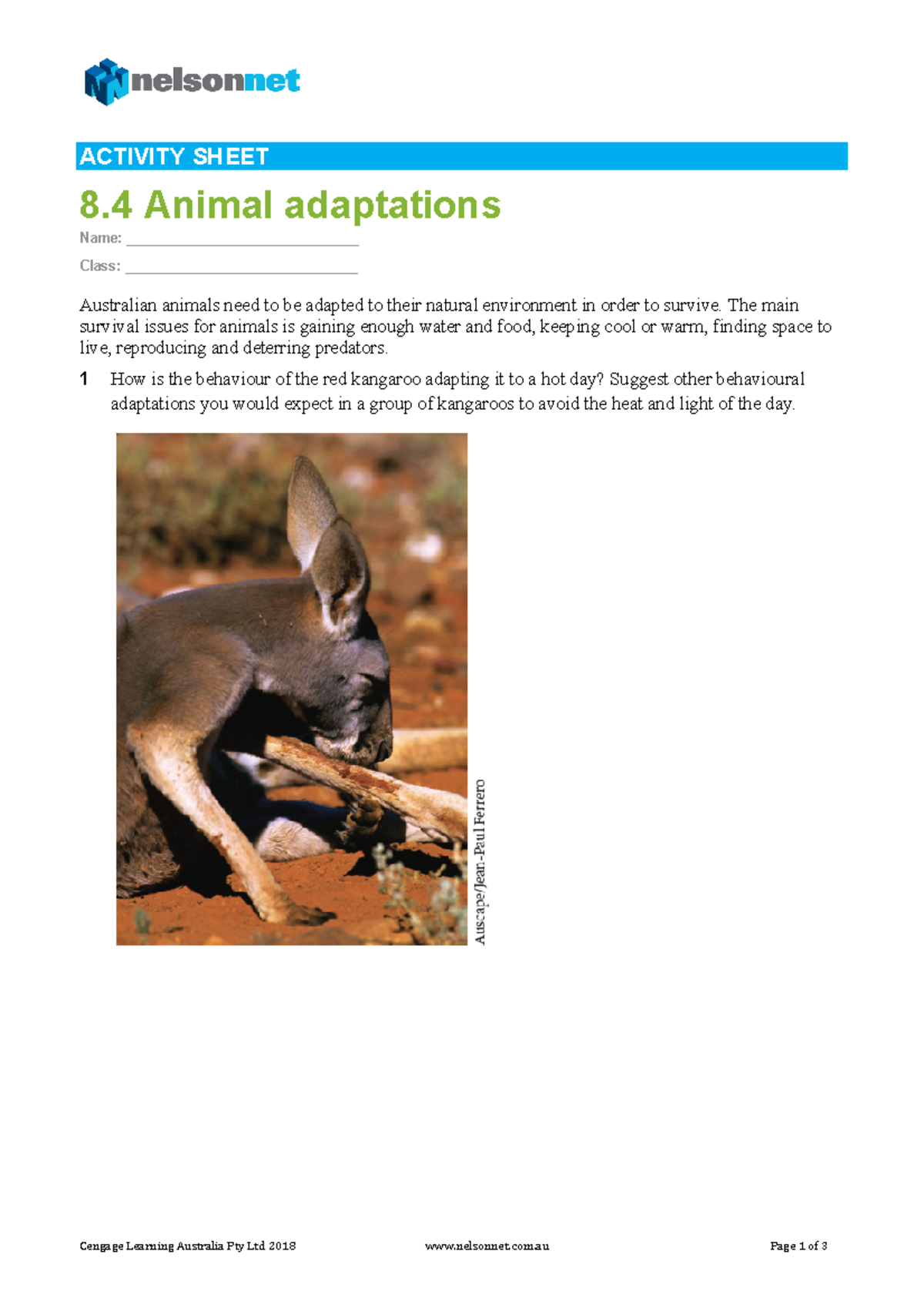 8.4 Animal Adaptations - Cengage Learning Australia Pty Ltd 2018 ...