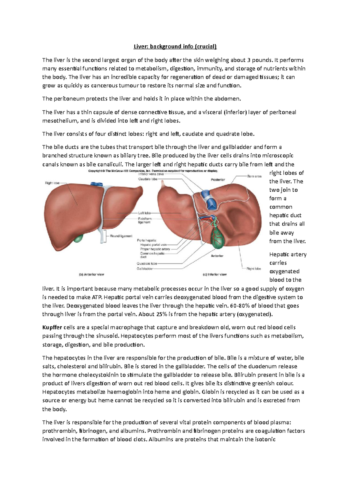 Spot test revision - spot test notes for getting 80% + in exam - Liver ...