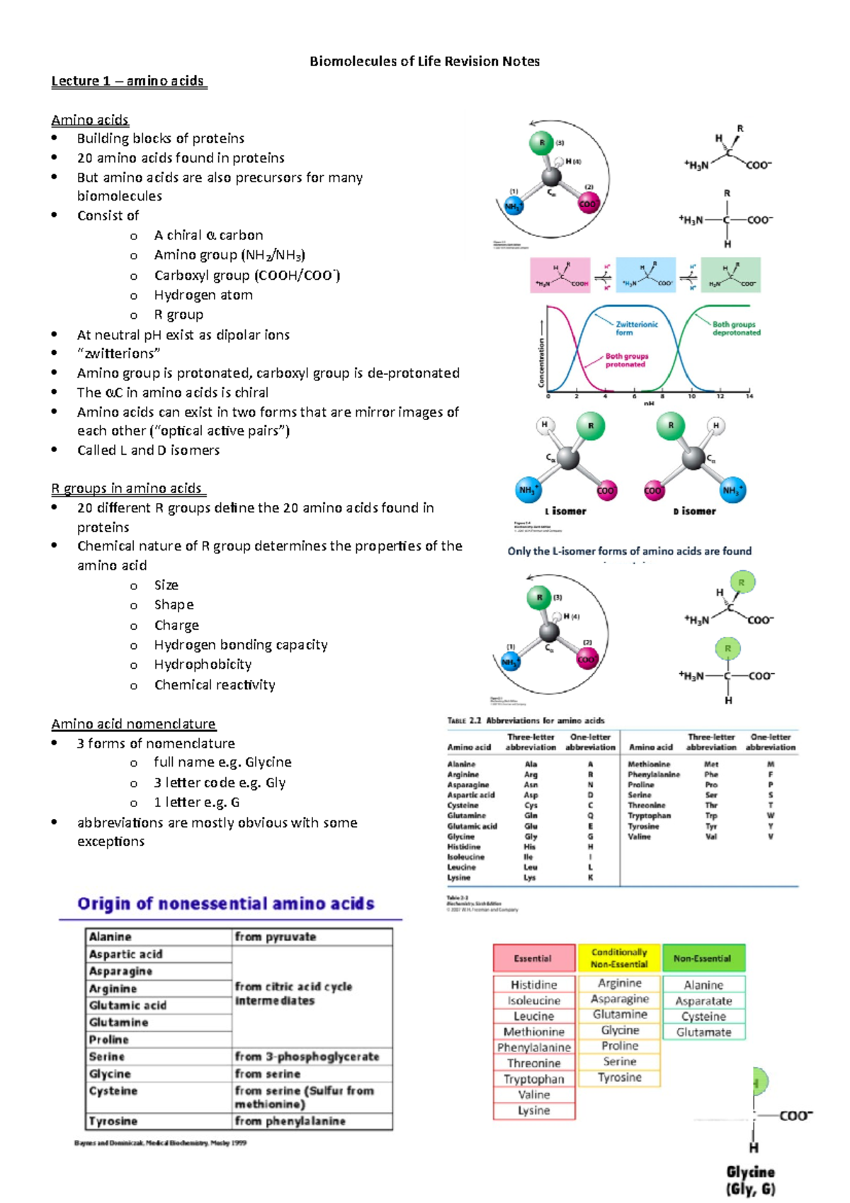 Biomolecules of Life Revision Notes Amino Acids and Protein Structure ...