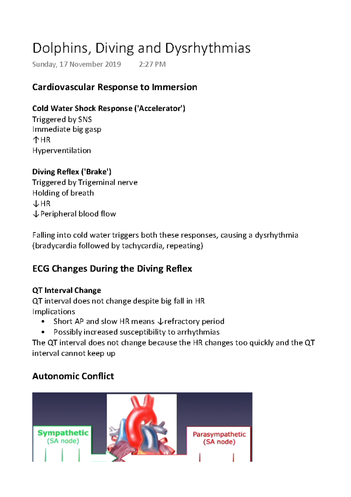 Dolphins, Diving and Dysrhythmias - Cardiovascular Response to ...
