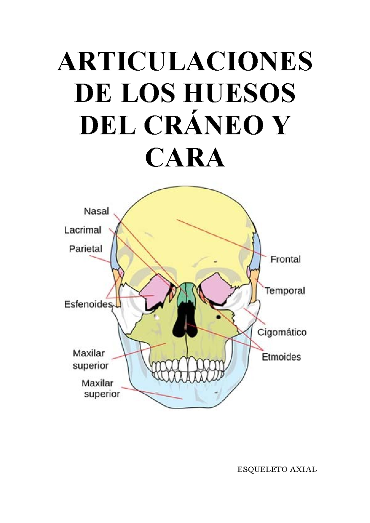 Articulaciones DE LOS Huesos DEL Cráneo Y CARA - ARTICULACIONES DE LOS HUESOS DEL CRÁNEO Y CARA ...