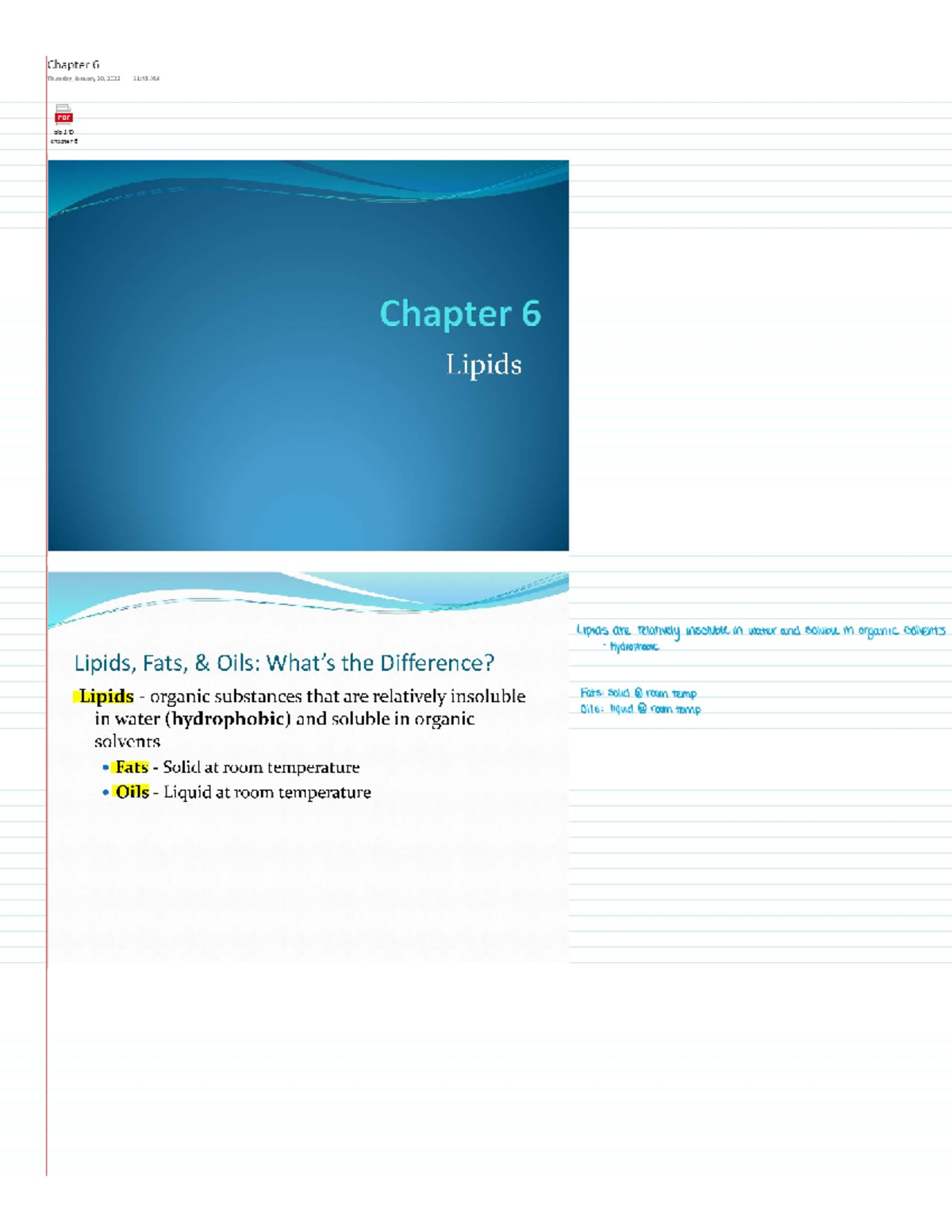 Bio 140 CH6 lecture - BIO 140 - Studocu