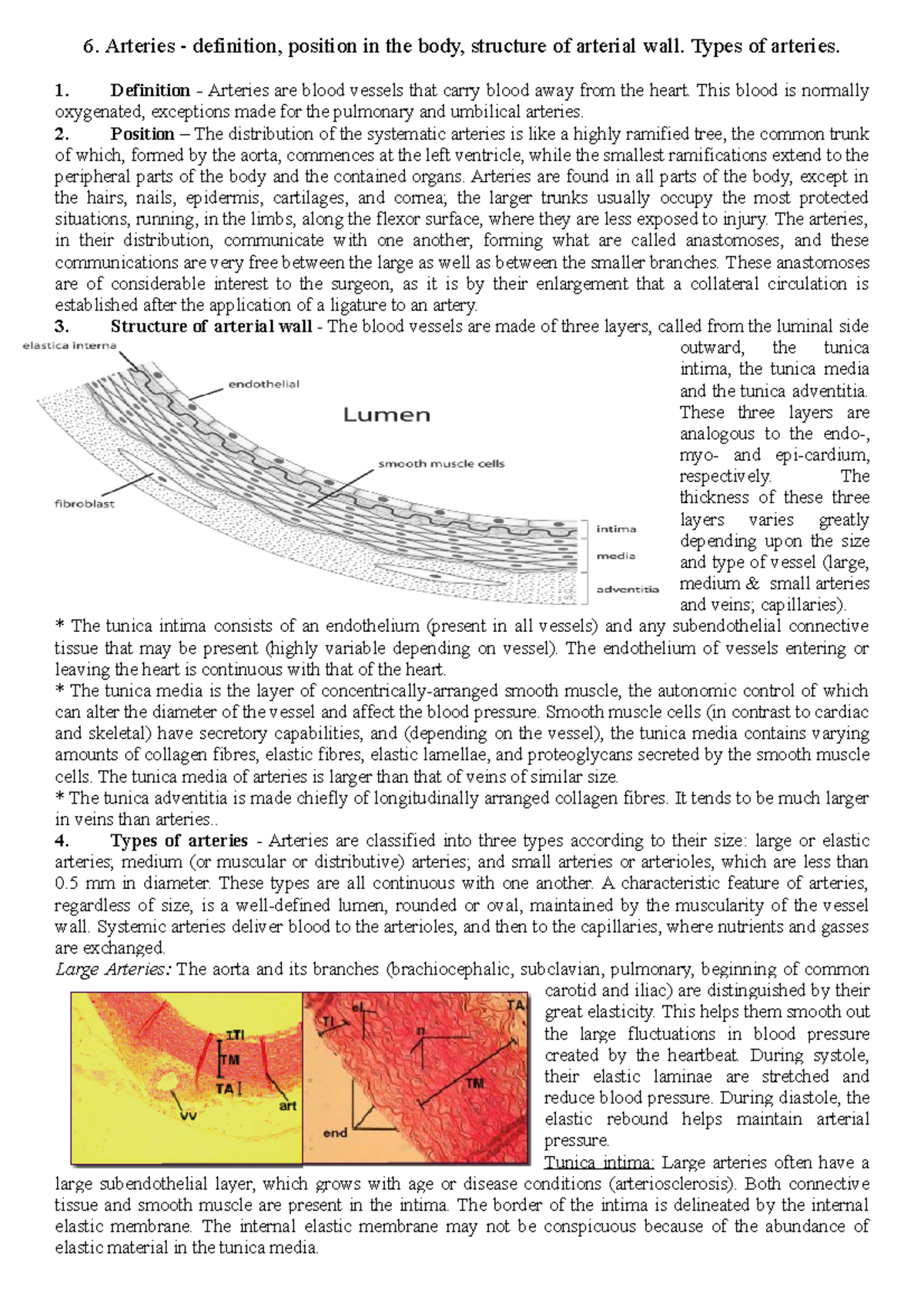 6 - Grade: 5 - 6. Arteries - definition, position in the body ...