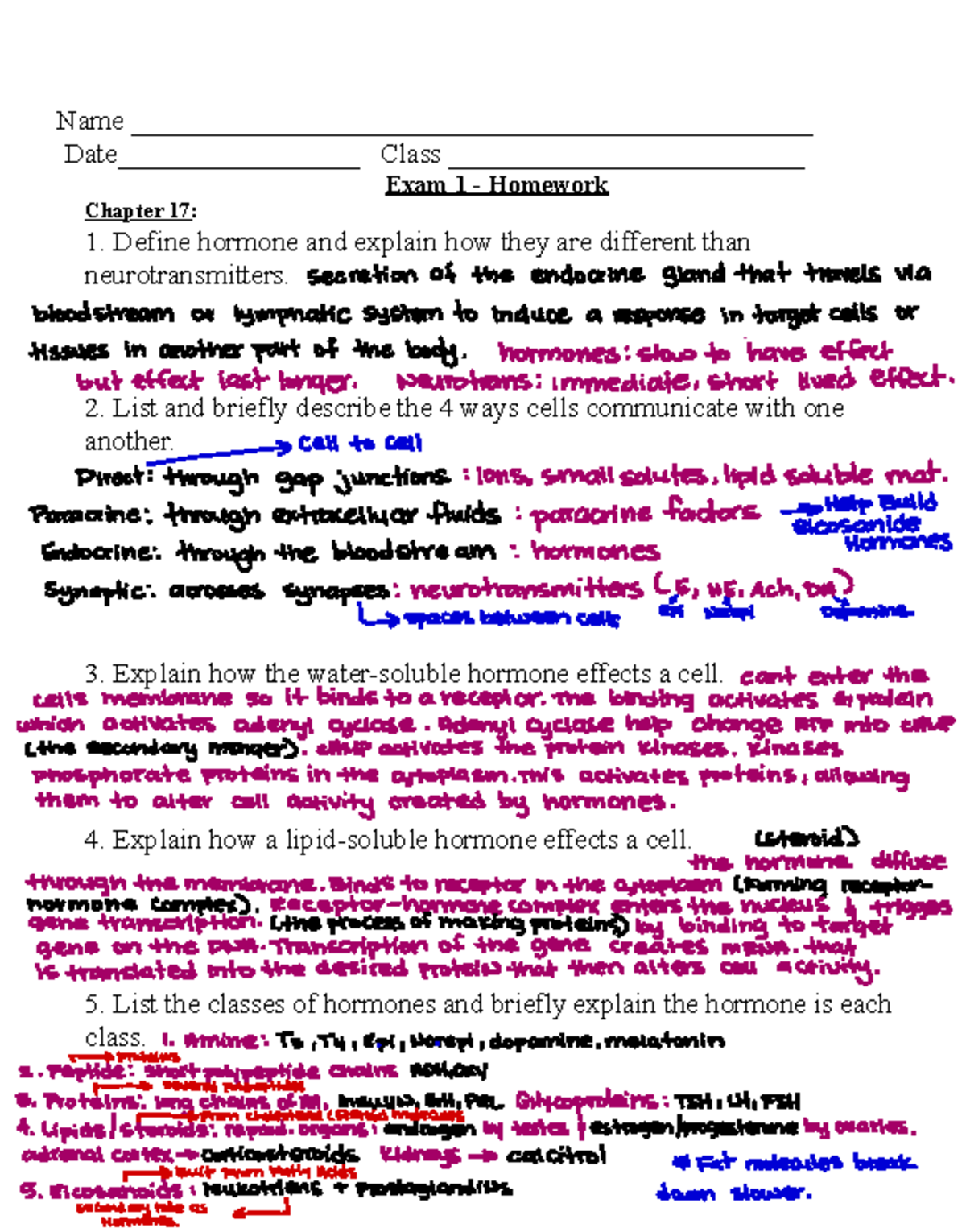 Exam 1 Study Guide - AP2 - Name ...