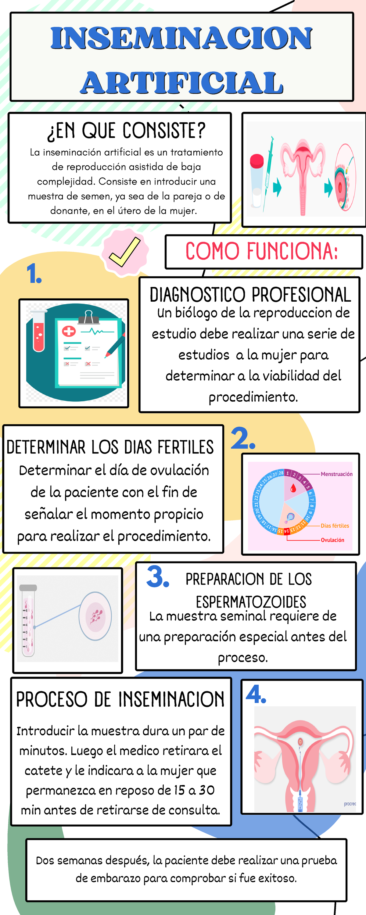Infografia inseminacion artificial - ¿EN QUE CONSISTE? La inseminación artificial es un ...