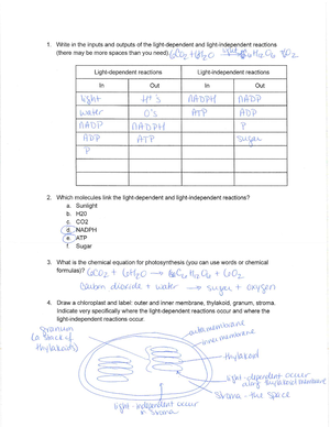 Biology 112 - Notes for classes - Biology Biology 112 Sep 06, 2023 ...