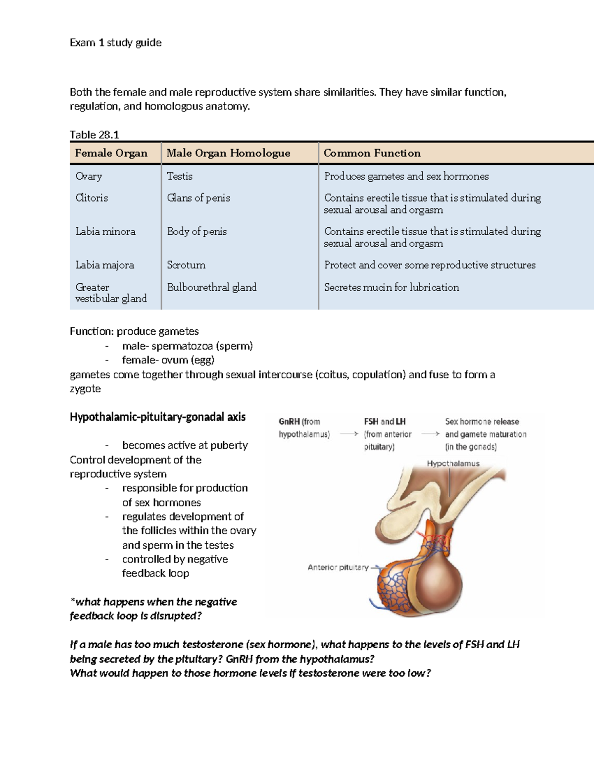 Exam 1study guide(1) - Exam 1 study guide - Both the female and male ...