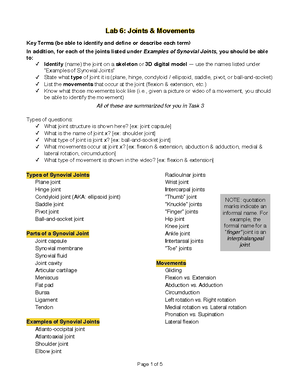 CHEM3000 - LAB#1 (Dilutions and Pipetting) - Dilutions and Pipetting in ...