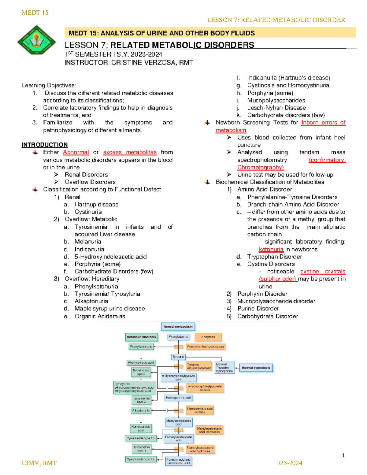 Lesson 7 Related Metabolic Disorders vr2 - LESSON 7 : RELATED METABOLIC ...