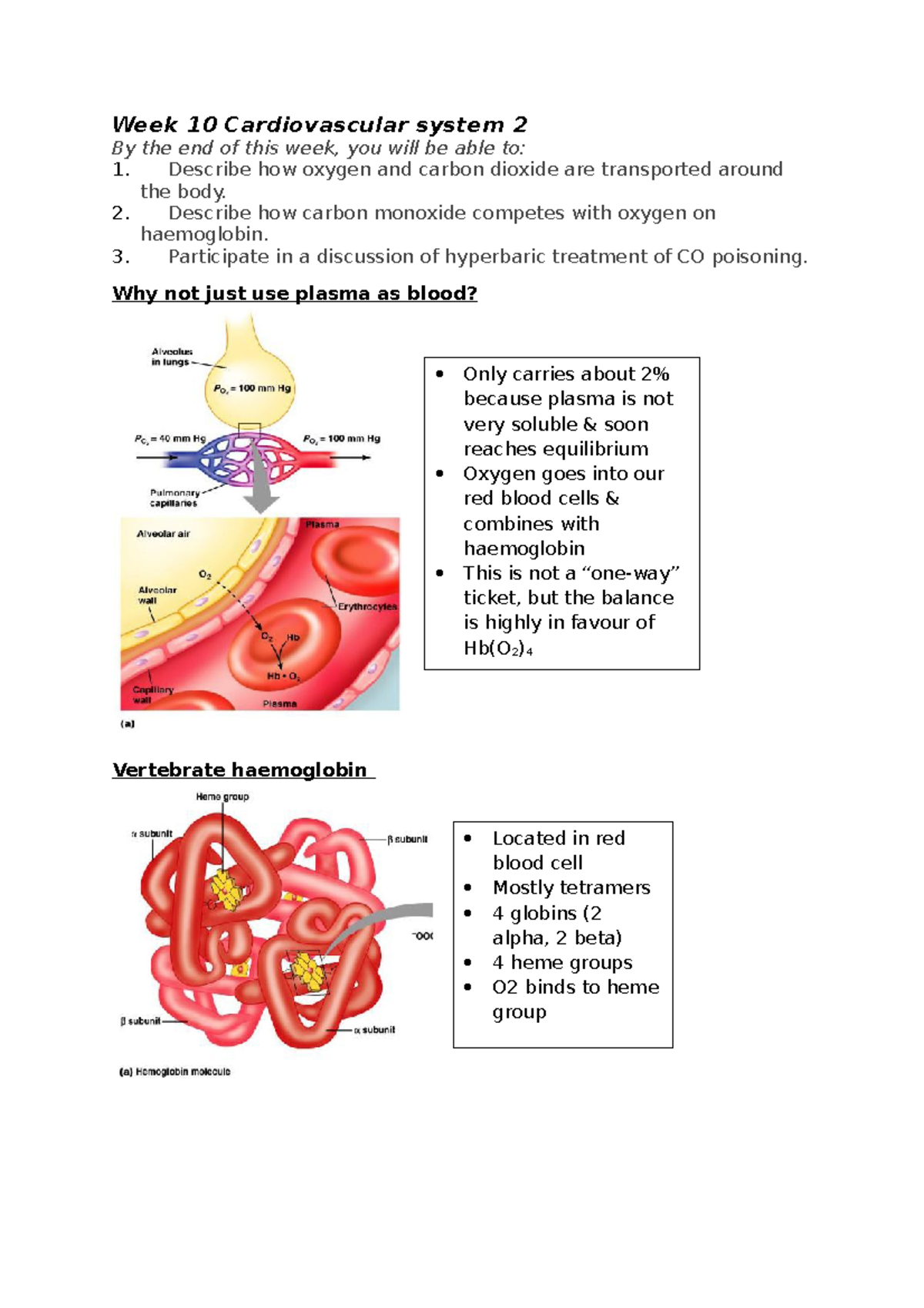 Week 10 cardiovascular system II - Describe how carbon monoxide ...