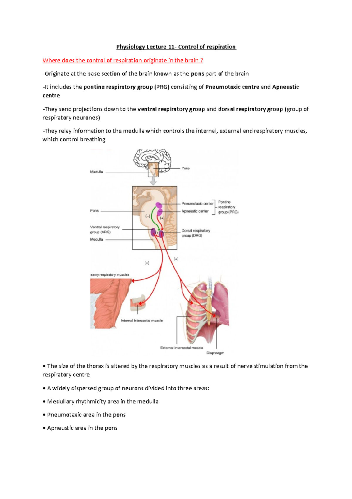 Physiology Lecture 11 - notes - Physiology Lecture 11- Control of ...