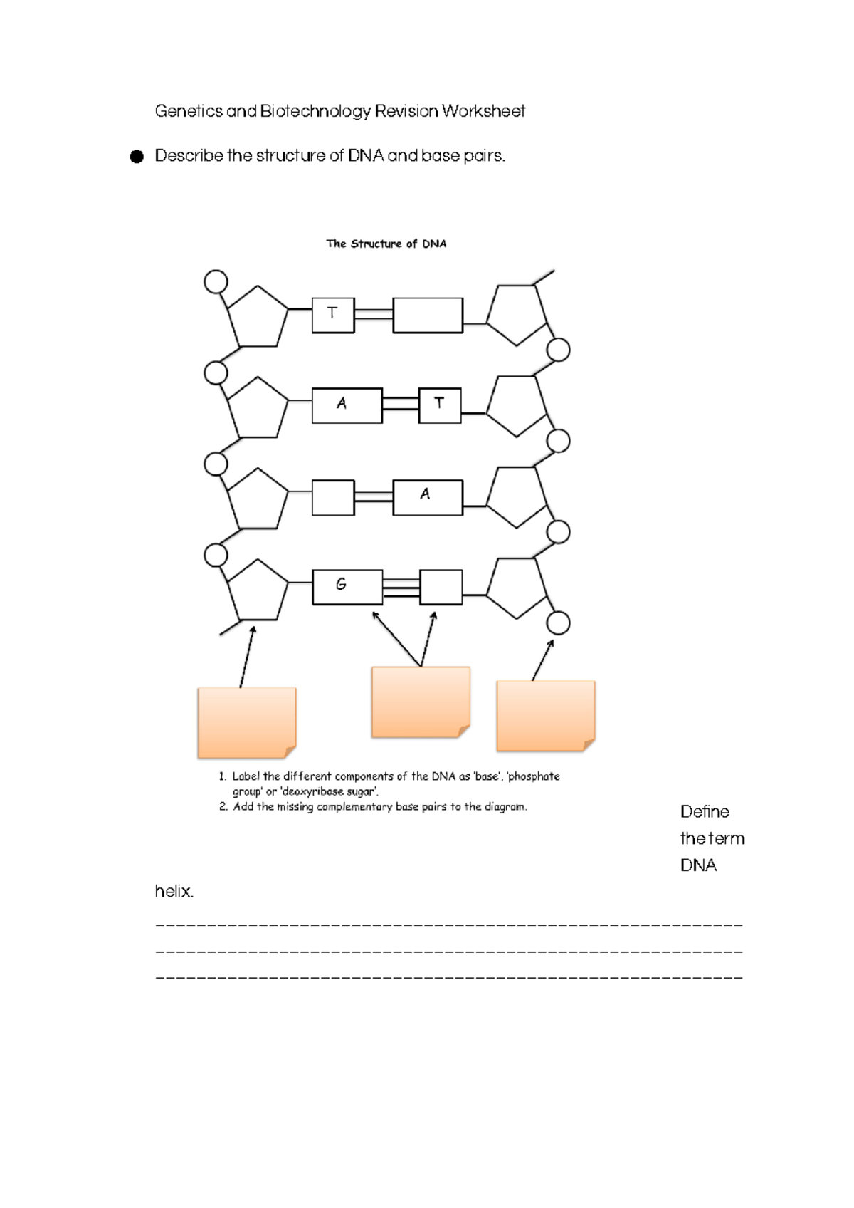 Genetics and Biotechnology Revision Worksheet - Define the term DNA ...