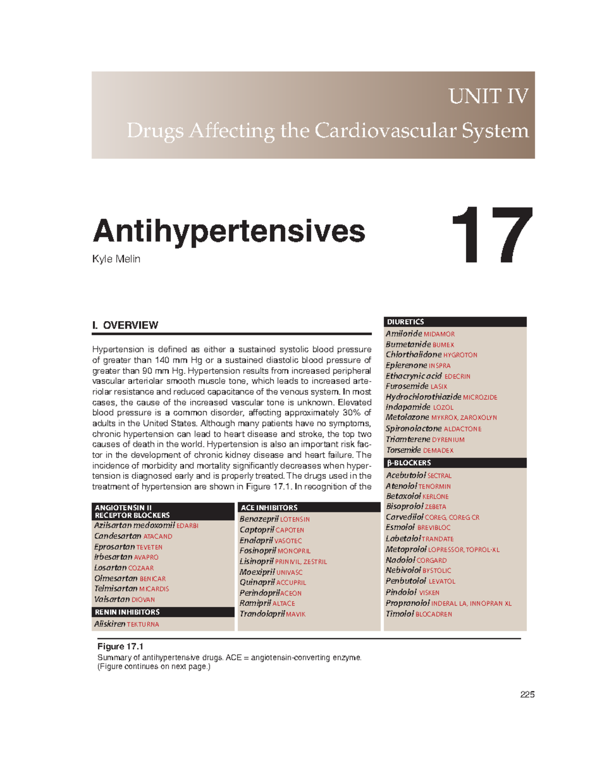 Hypertensive Medications PLUS QUIZ Studies - DIURETICS Amiloride ...