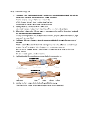 Neuro Exam 1 Qs - Questions and answers - Exam 1 2 / 2 points When the ...